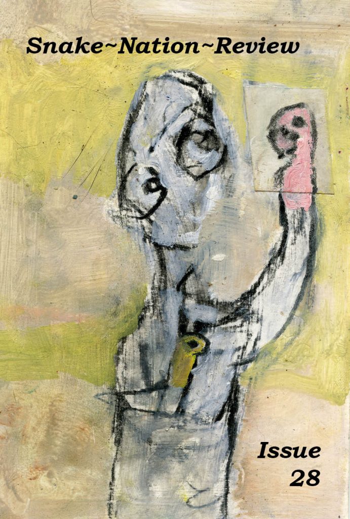 Snake Nation Review Issue 28 - Snake Nation Press Books